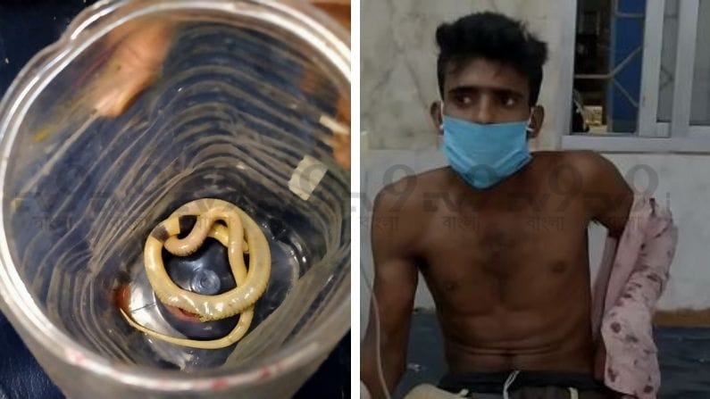 পায়ে কেউটের ছোবল! সাপকে নিয়েই হাসপাতালে ছুটলেন বেপরোয়া যুবক ...