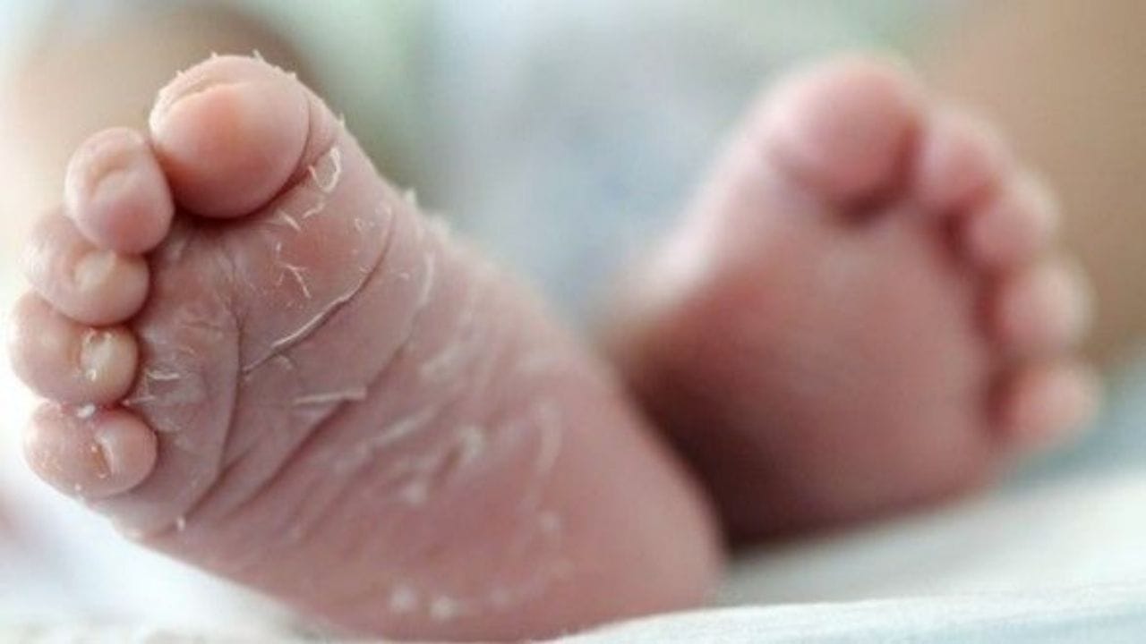 Dry skin on a Baby: শিশুর শুষ্ক ত্বক নিয়ে চিন্তিত? জেনে নিন কীভাবে ...
