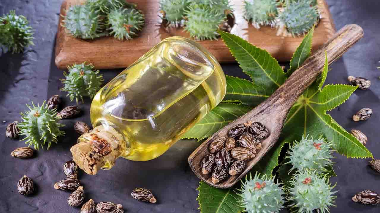 Castor Oil: চুলকে মজবুত ও সুন্দর করতে ব্যবহার করুন ক্যাস্টর অয়েল! ভুরু ...