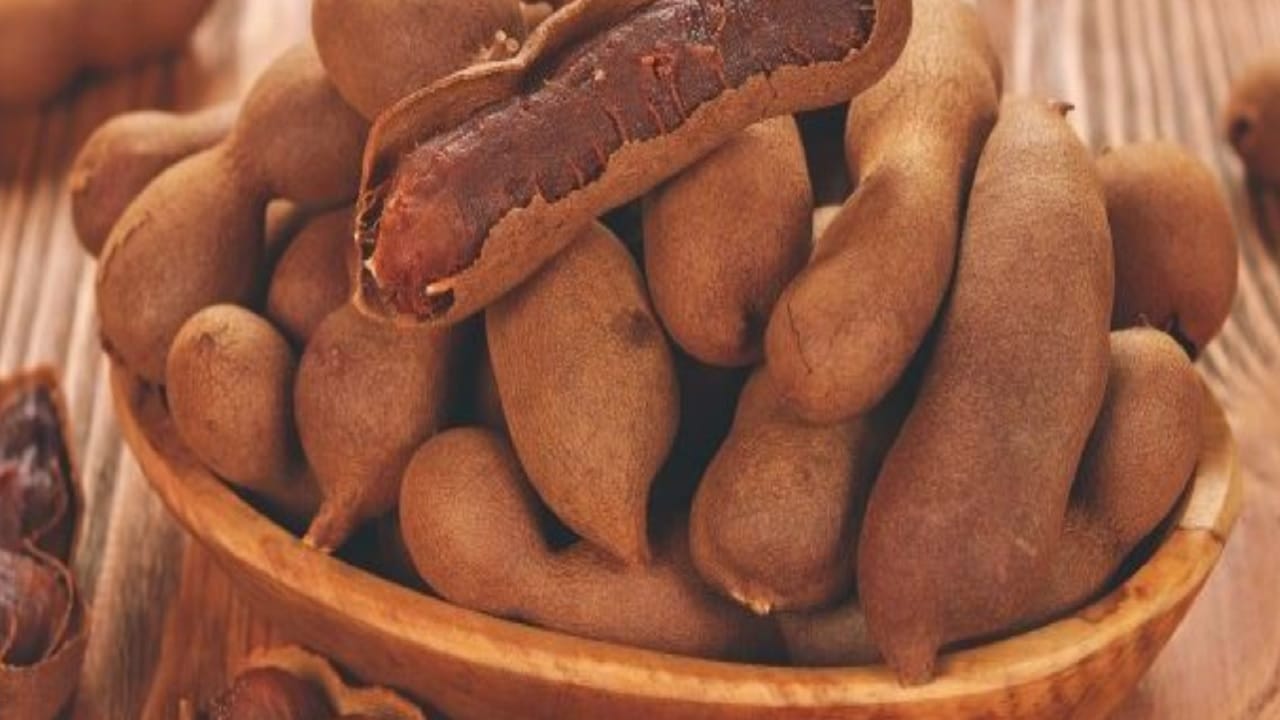 Tamarind: রোজ তেঁতুল খাওয়ার উপকারিতা অনেক! জানতেন? | Discover these ...