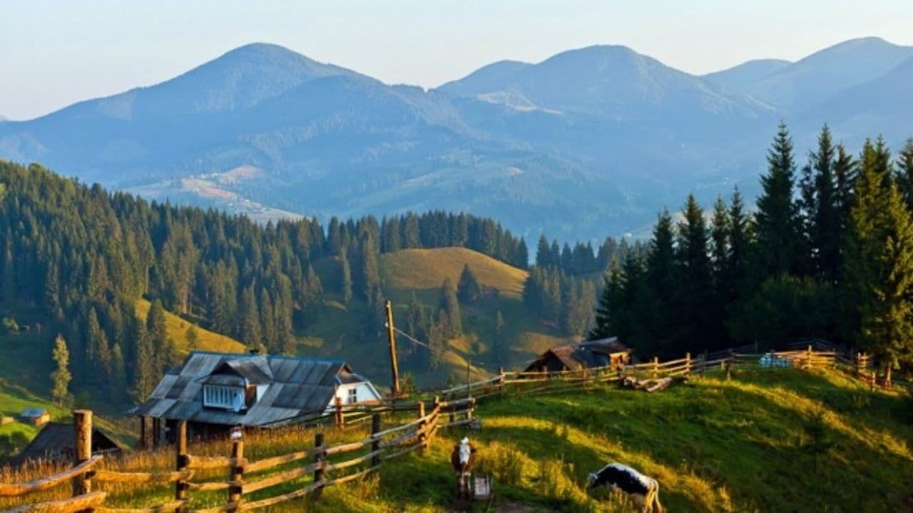 Ukraine's Beautiful Sights: ইউক্রেনকে ভালবাসবেন তার প্রাকৃতিক সৌন্দর্য ...