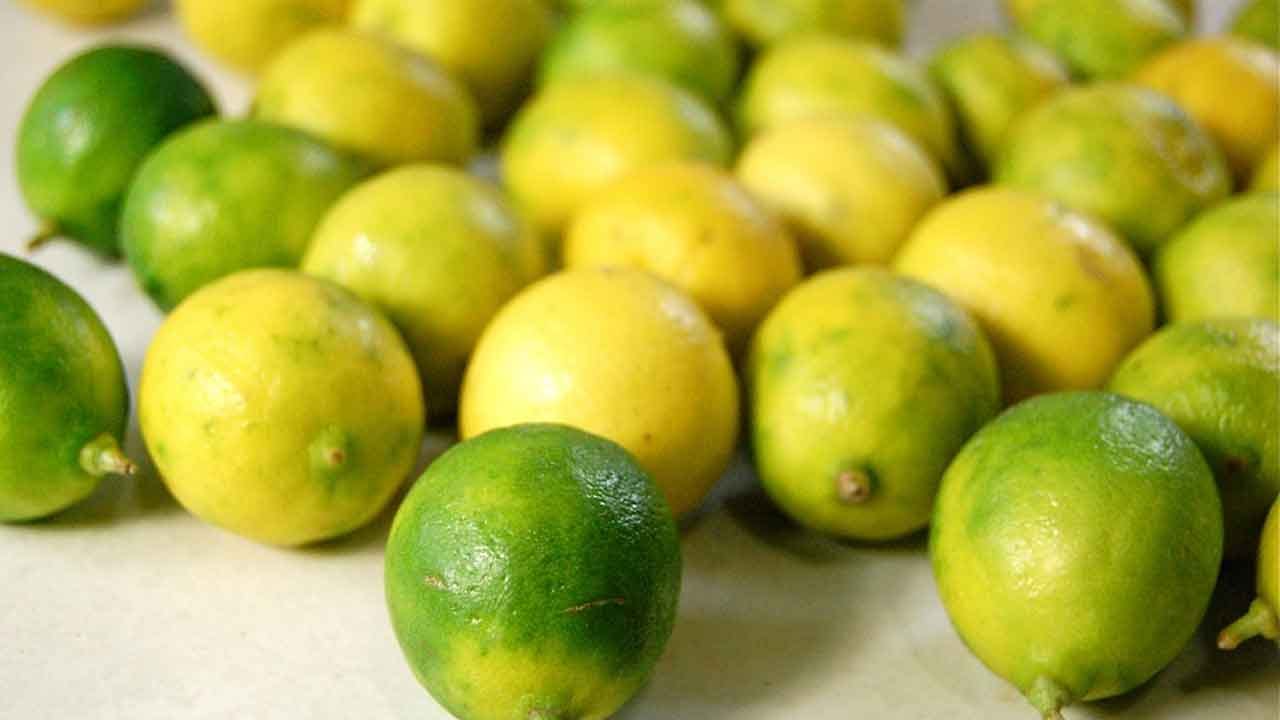 Lemon Price Hike: পাতিলেবু মোটেও অত পাতি নয়, বাজারে এক পিসের দাম এখন ...