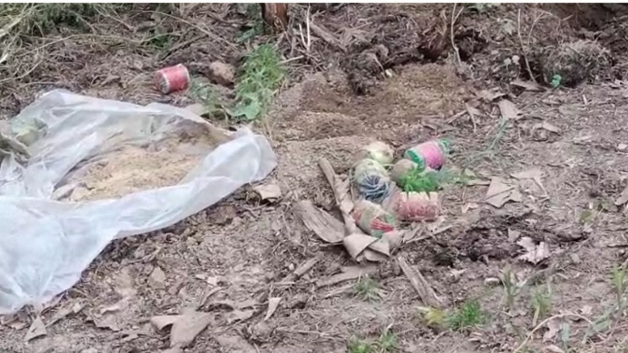 Malda Bomb Recover: তৃণমূল পার্টি অফিসের পিছনে উদ্ধার বোমা, চাঞ্চল্য ...