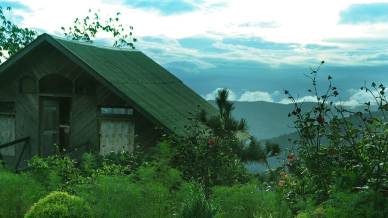 Dooars: বর্ষার শুরুটা হোক পাহাড়ে, এই সুযোগে ঢুঁ মারুন ঝান্ডি থেকে ...