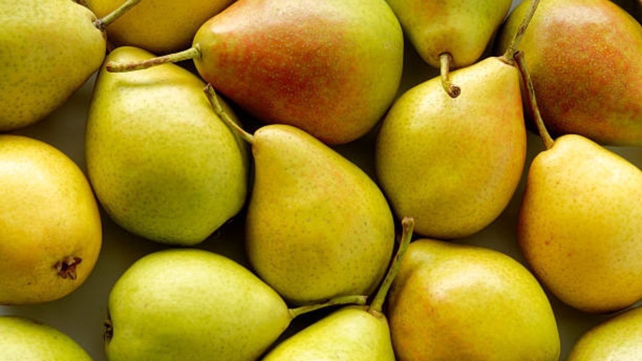 Health Benefits of Pears: ওজন কমাতে চান? নিয়ম করে রোজ একটা ন্যাশপাতি ...