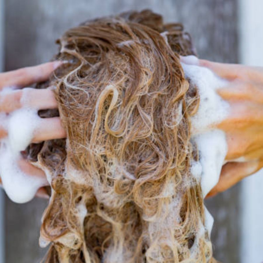 Hair Care Tips চুলের বেহাল দশা নিয়ে চিন্তিত শ্যাম্পু করার সঠিক নিয়ম