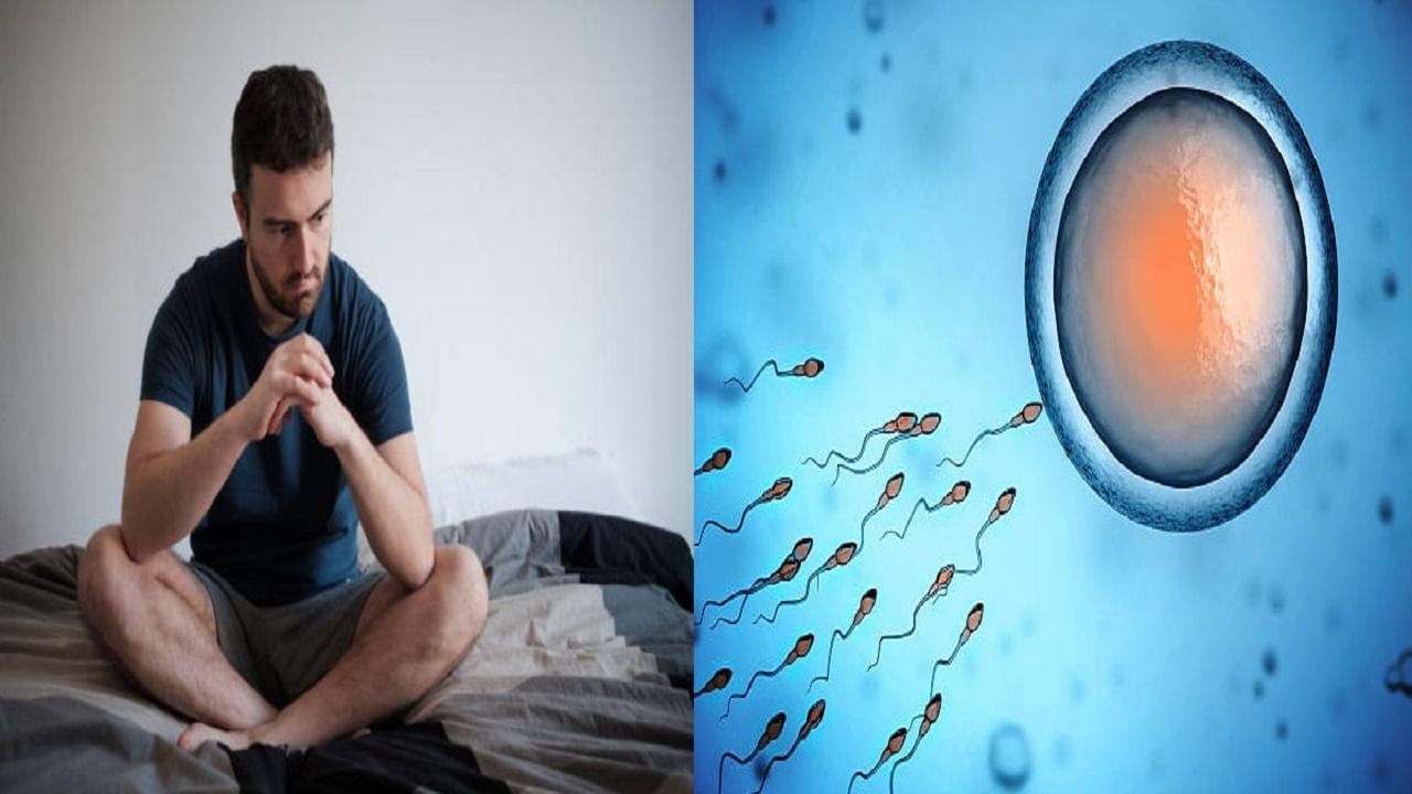 Foods For Mens Fertility বাবা হওয়ার পথে বাধা এইসব খাবারই কিন্তু