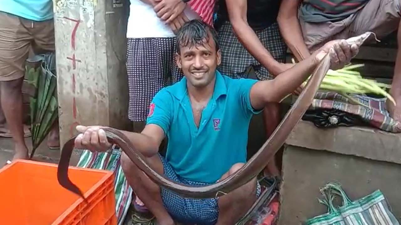 Snake like Fish: ওজন প্রায় সাড়ে ৩ কিলো, মৎস্যজীবীদের জালে উঠল ...