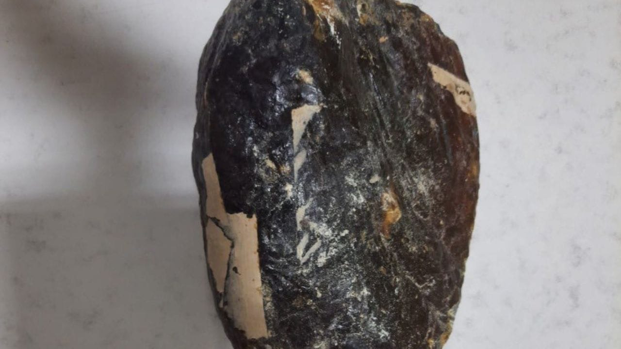 Ambergris Recovered: জলে ভাসছিল কালচে-হলুদ রঙা থকথকে জিনিসটা, দেখেই ...