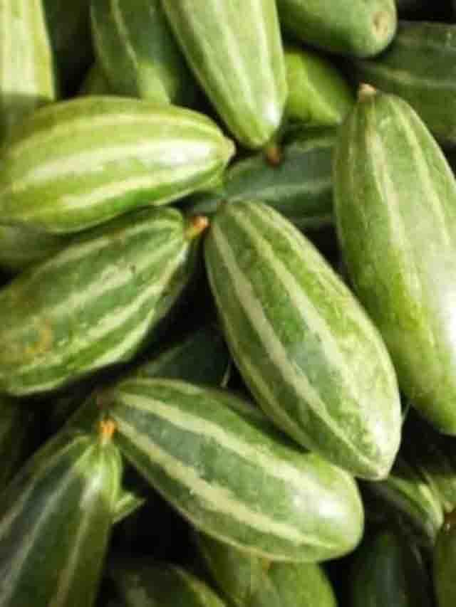 পটল কি স্বাস্থ্যের জন্য উপকারী? – TV9Bangla | Health Benefits Of ...