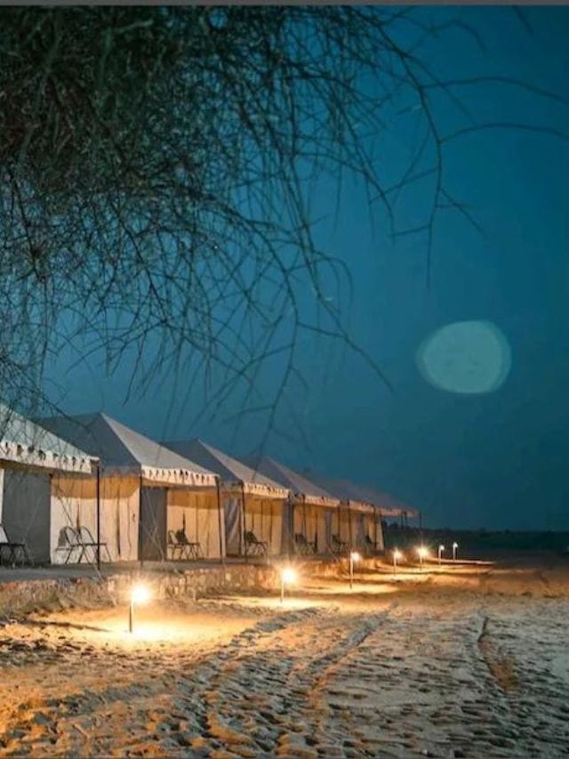 রাজস্থানে এবার ফুল-মুন ট্যুরিজমের সুযোগ! – TV9Bangla