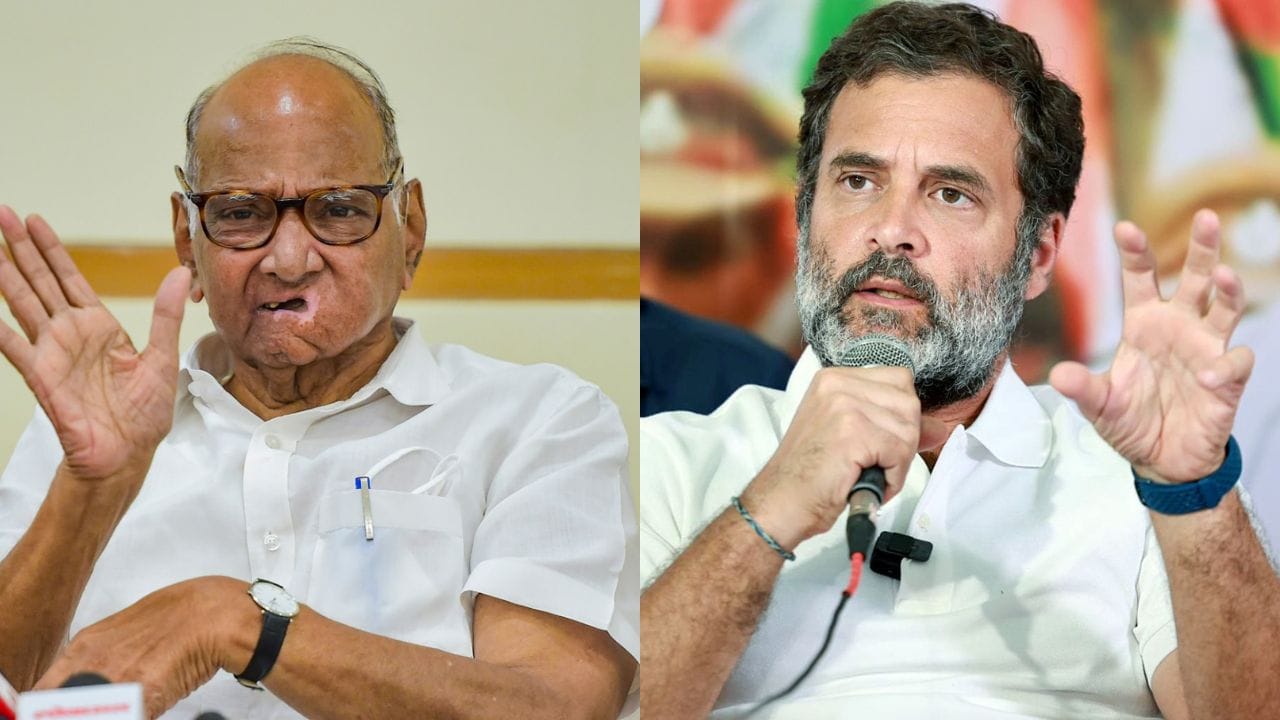 Congress-NCP: আরও কাছাকাছি কংগ্রেস-এনসিপি! 'ভারত জোড়ো যাত্রা ...