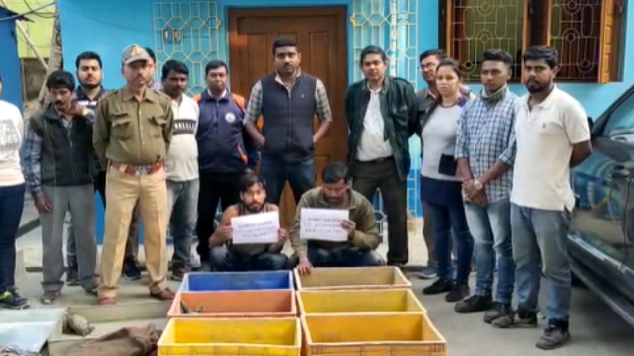 Turtle Smuggling: পাঁচ জনের মতোই এসেছিলেন, ঝুড়ি থেকে গামছা সরাতেই ...