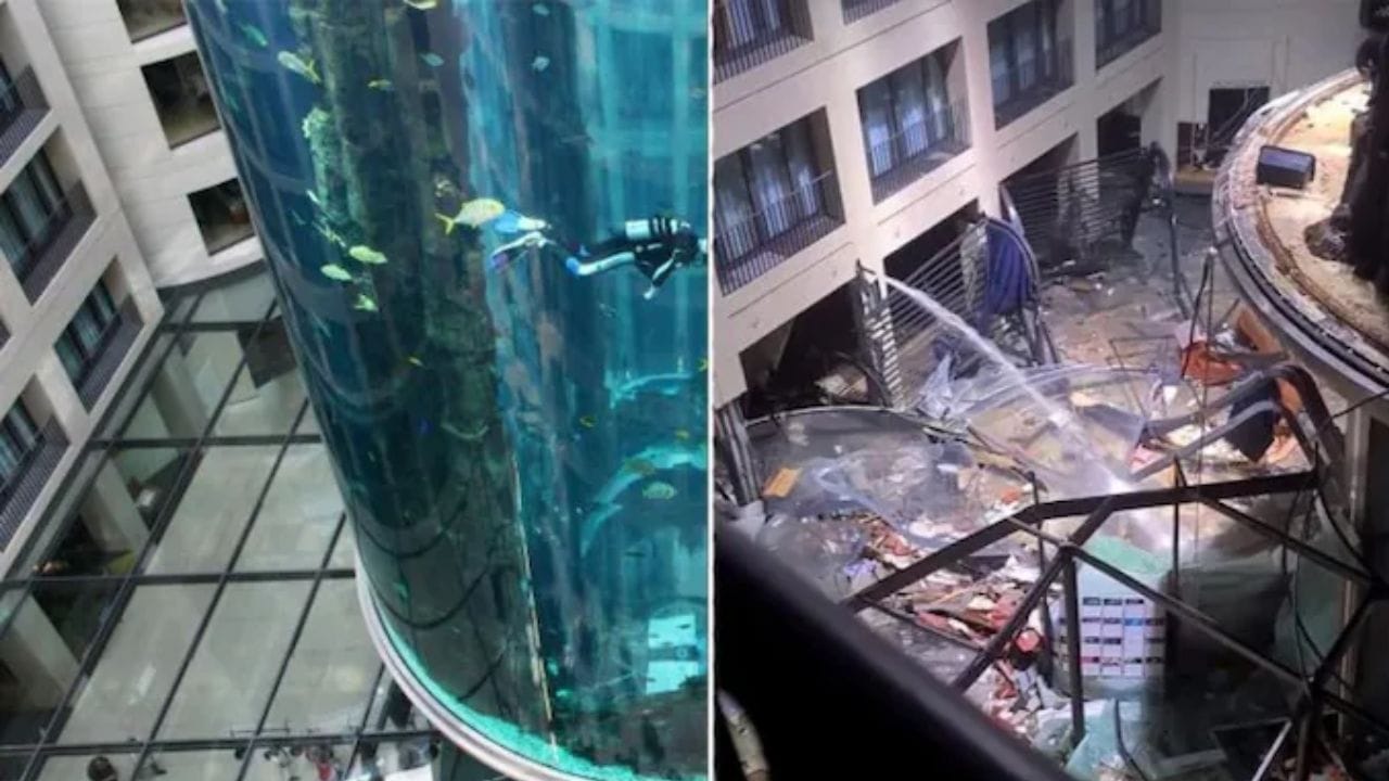 Aquarium Burst: যেন সুনামি!ভেঙে পড়ল বিশালাকার অ্যাকোয়ারিয়াম, ১০ লক্ষ ...