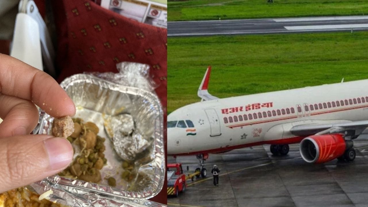 Air India: এয়ার ইন্ডিয়ার বিমানের খাবারে পাথরের টুকরো? যাত্রীর টুইটে ...