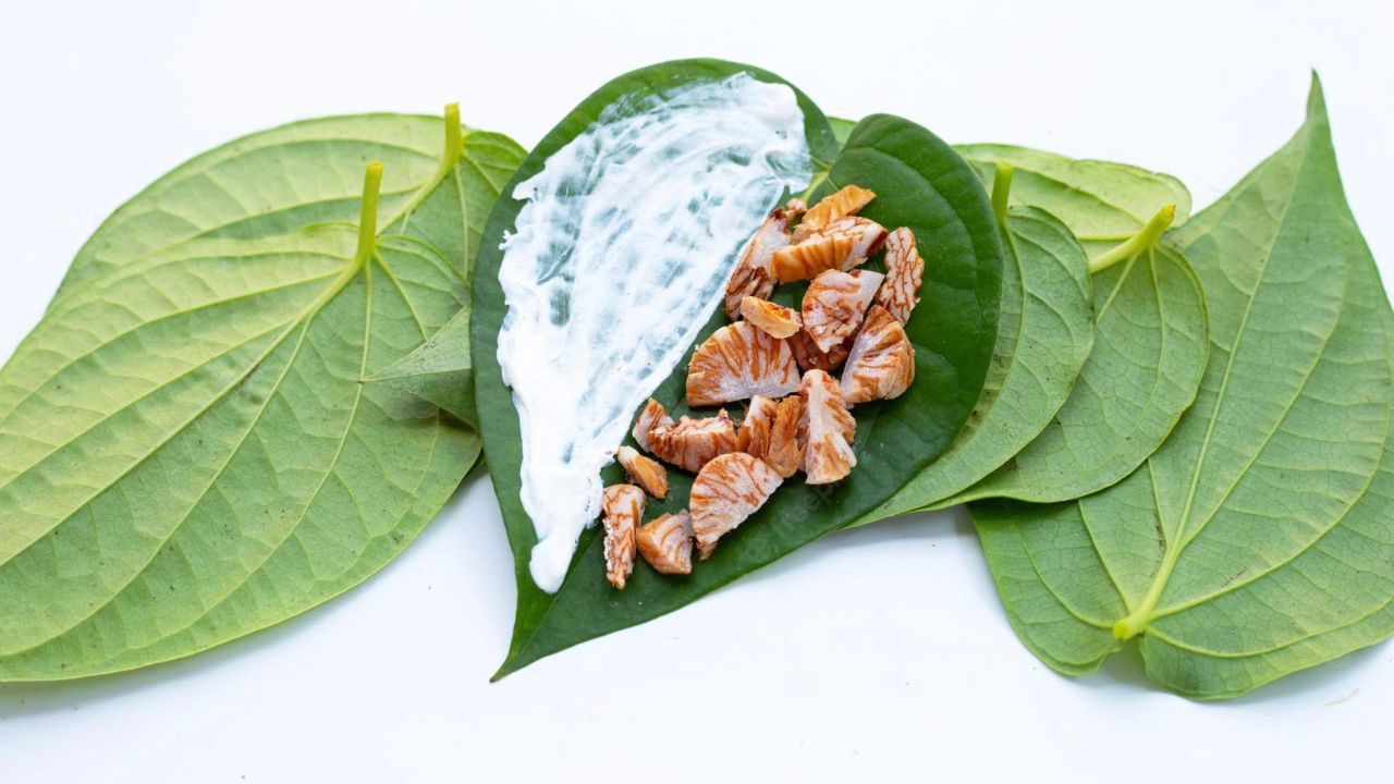 Betel Leaves Remedies 2023: সাফল্য ও ভাগ্য একসঙ্গে চালনা করতে চান? চুন ...