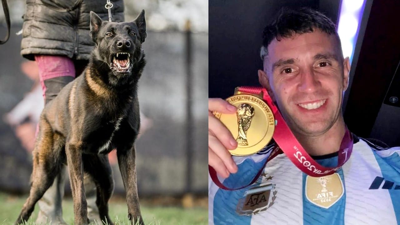 Emiliano Martinez: এমির বিশ্বকাপ পদকের পাহারায় লাদেনকে খুঁজে বের করা ...