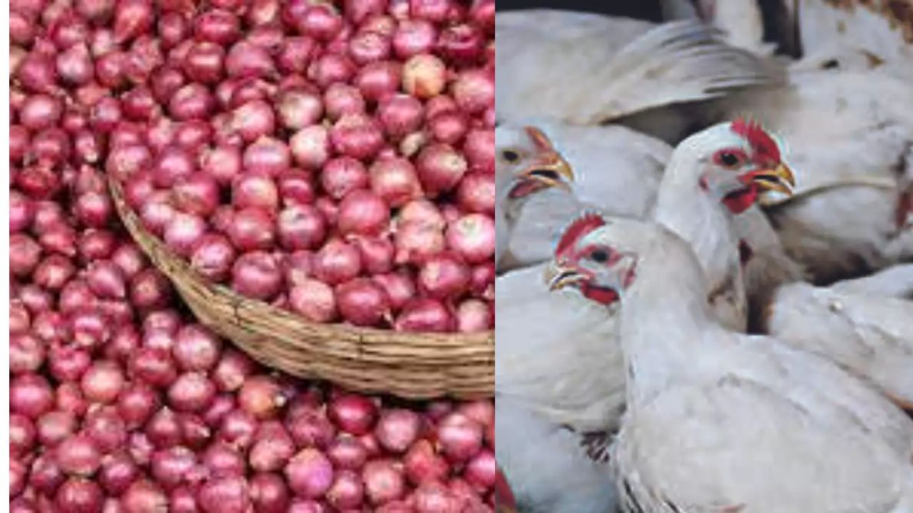 Onion & Chicken Price: পাকিস্তানে ৫০০ শতাংশ দাম বাড়ল পেঁয়াজের, মুরগীর ...