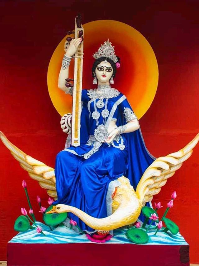 পদ্ম না রাজহংস! কোন সরস্বতী বাড়িতে আনবেন? – TV9Bangla