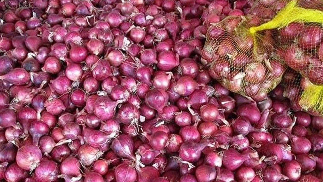 Onion Price Soars: আচমকাই বিশ্ব বাজারে পেঁয়াজের সঙ্কট! ভারতে কী অবস্থা? - Bengali News | Onion ...