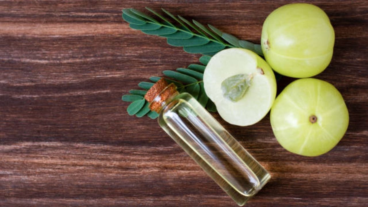 Amla Oil for Hair: মা-ঠাকুমার টোটকাকে কাজে লাগিয়ে বানিয়ে নিন আমলকির ...