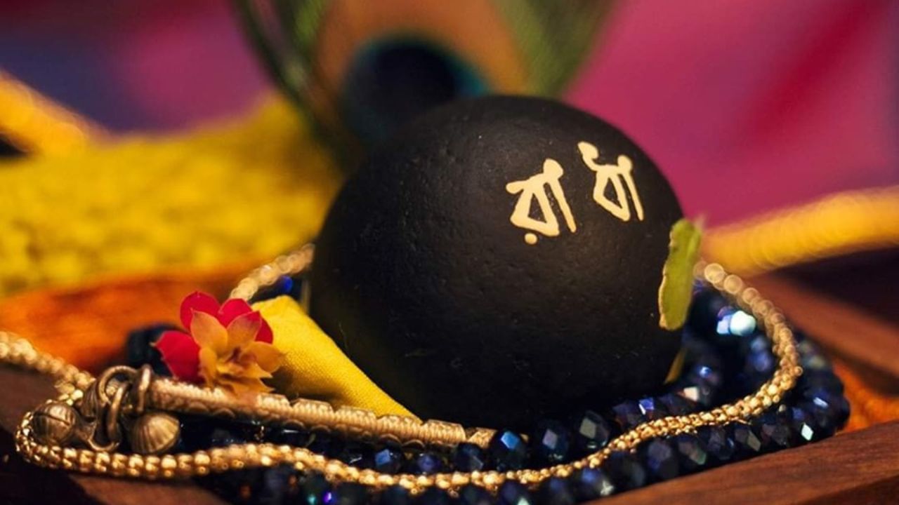 Shaligram Stone: অযোধ্যার রামমন্দির কোন পবিত্র পাথর দিয়ে তৈরি হবে? এই ...