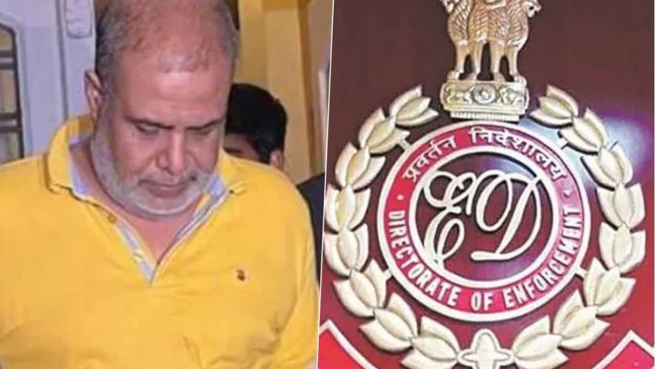 'শোচনীয় অবস্থা', গোয়ায় করোনা রোগীর দেহ সৎকারের দীর্ঘ লাইন সামনে আনছে পরিস্থিতির ভয়াবহতা ...