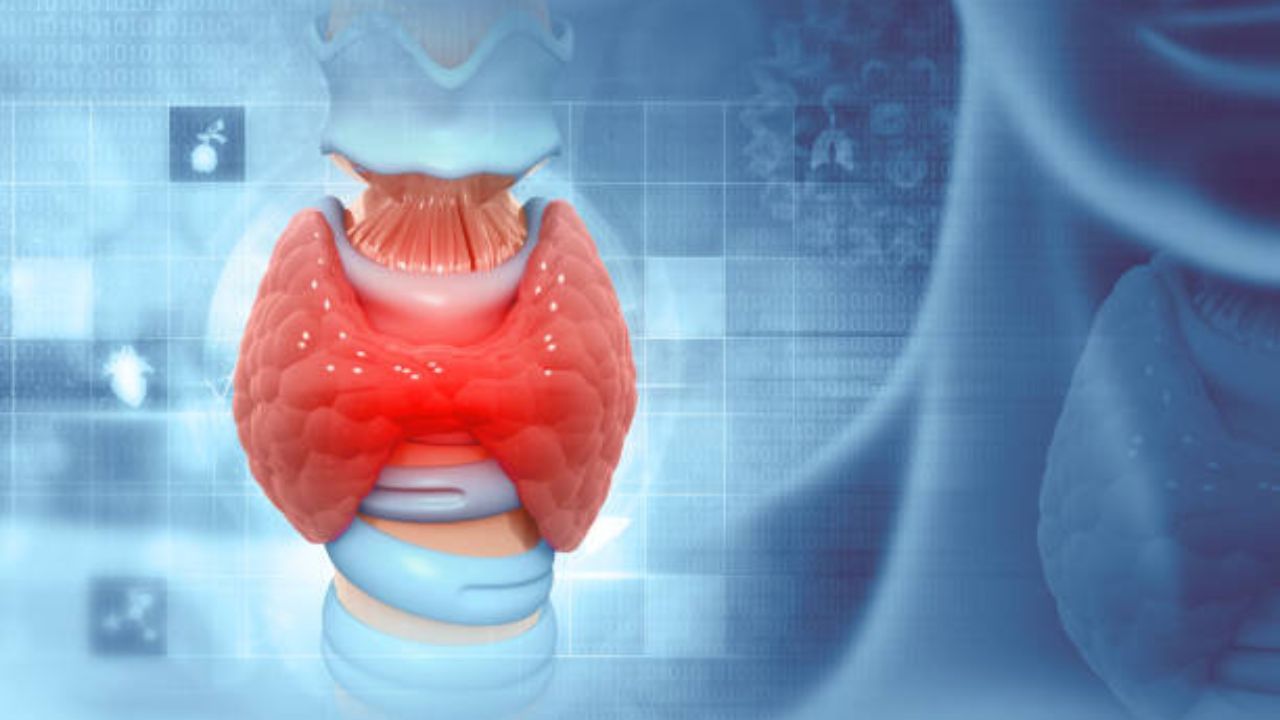 Hypothyroidism বাড়ছে থাইরয়েডের মাত্রা সতর্ক হবেন কোন কোন লক্ষণে Bengali News