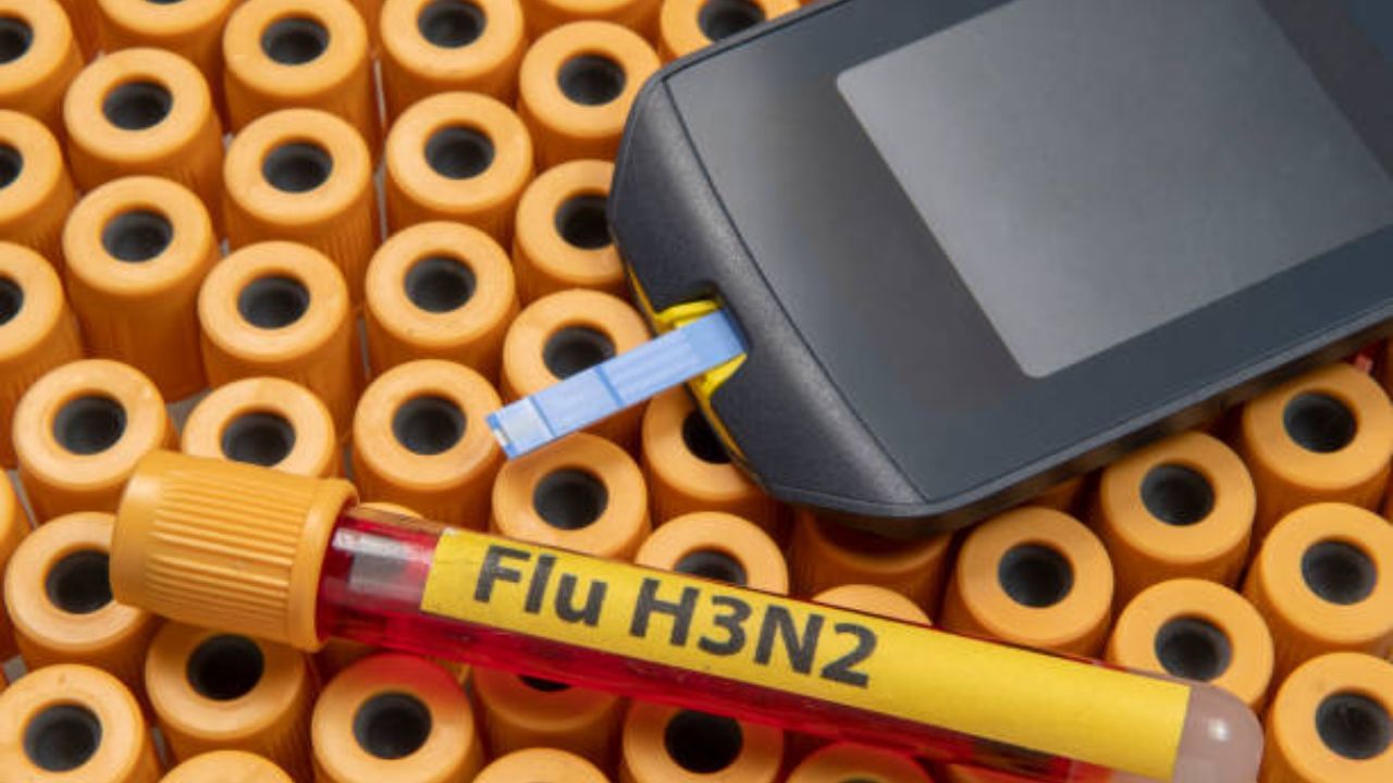 H3N2 Influenza A Virus: বাড়ছে H3N2 ভাইরাসে আক্রান্তের সংখ্যা ...