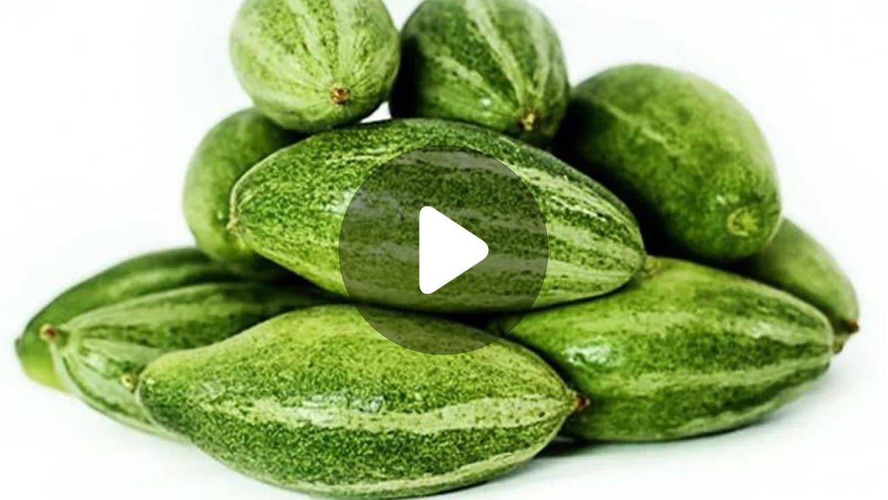 Pointed Gourd Benefits: পটল খেতে একদম ভাল লাগে না? পটলের উপকারিতা জানতে ...