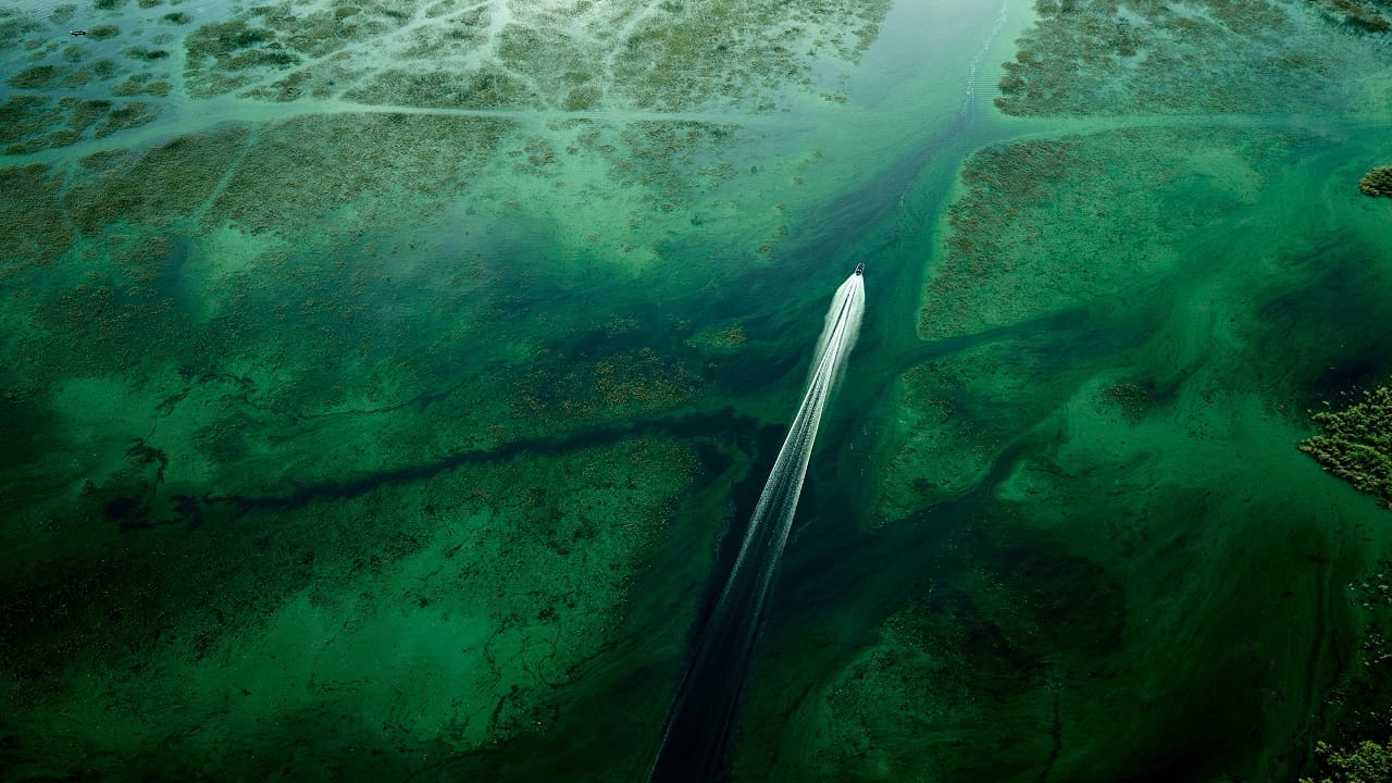 Toxic Algae In Indian ocean: ভারত মহাসাগর ও আরব সাগর গ্রাস করছে বিষাক্ত ...