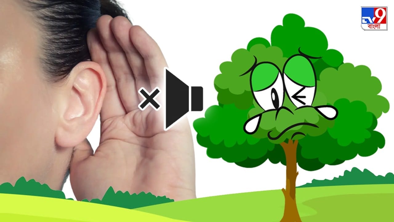 Plant's Ultrasonic Sounds: আঘাতে আর অবহেলায় গাছও কাঁদে হাউ-হাউ করে ...