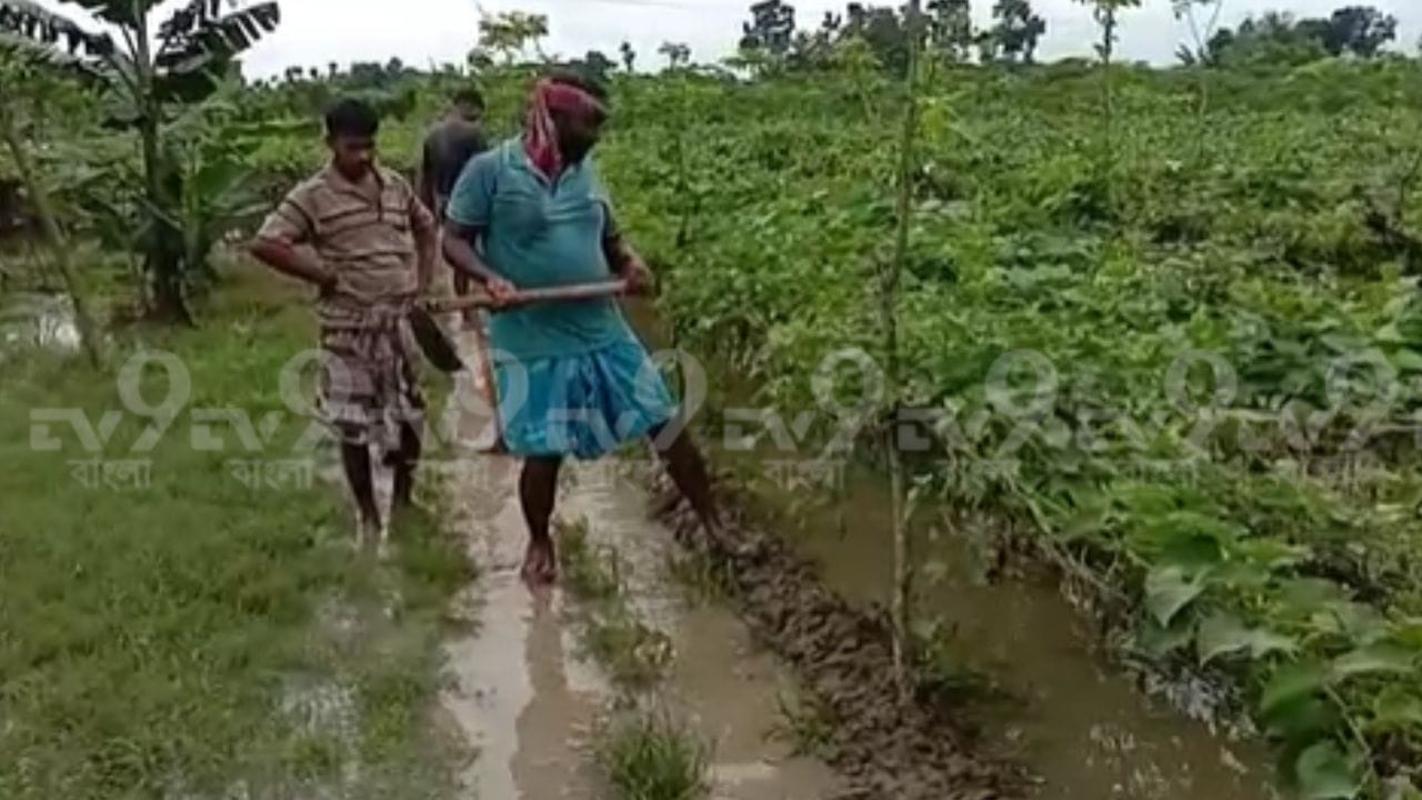 Kalbaisakhi: মরসুমের প্রথম কালবৈশাখীতেই ওলট পালট আমবাগান, সবজি ক্ষেত ...