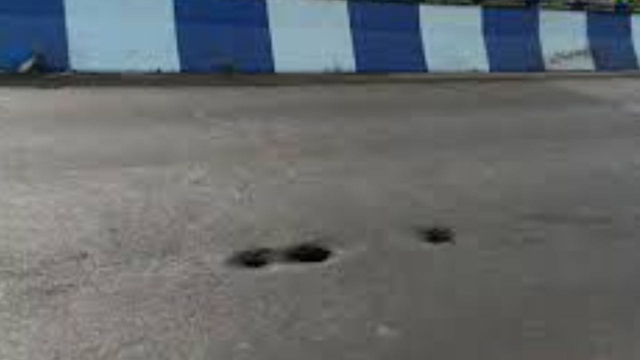 Chingrighata: সুকান্তনগর চিংড়িঘাটা উড়ালপুলে 'ধস', কমিয়ে দেওয়া ...