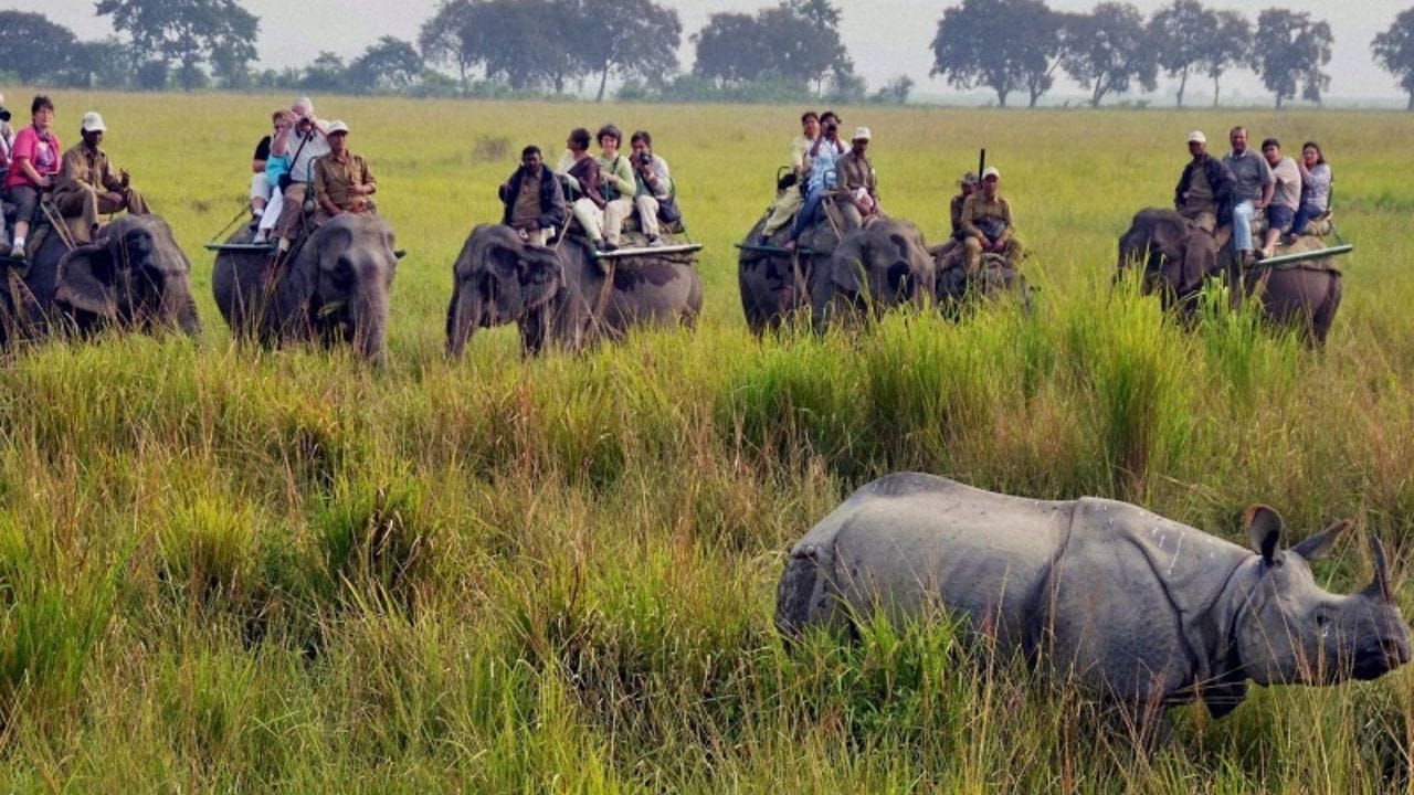 Kaziranga National Park: এপ্রিল থেকেই কাজিরাঙায় বন্ধ হবে হাতি সাফারি ...