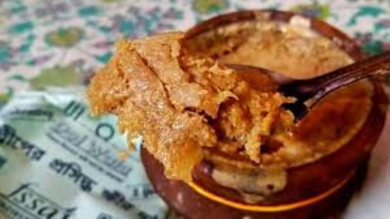 Nabadwip Khir Doi: কীভাবে বানানো হয় নবদ্বীপের বিখ্যাত ক্ষীর দই ...