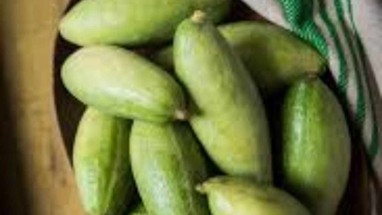Til Potol: এই গরমে দই কিংবা পোস্ত নয়, তিল দিয়েই বানিয়ে নিন পটল ...
