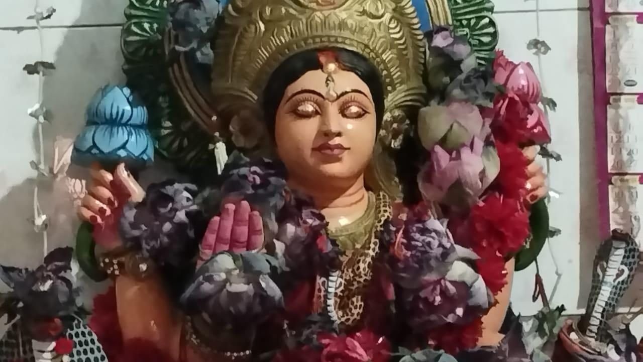 Birbhum: মা মনসার খোলা চোখ হয়ে গেল বন্ধ, ‘জন্মে দেখিনি’, বলছেন ...