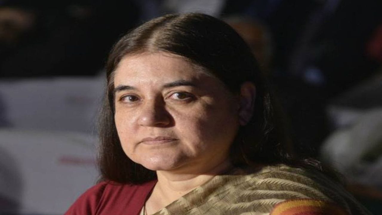 Maneka Gandhi: রাস্তায় কাদা, প্রচারে বেরিয়ে পিছলে পড়ে গেলেন মানেকা ...