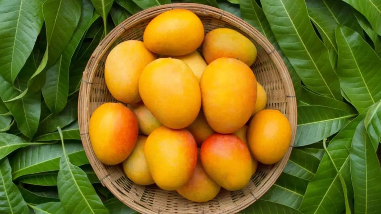 Mango Price: শুধু স্বাদেই নয়, মূল্যবৃদ্ধিতেও 'ফলের রাজা' এখন আম ...