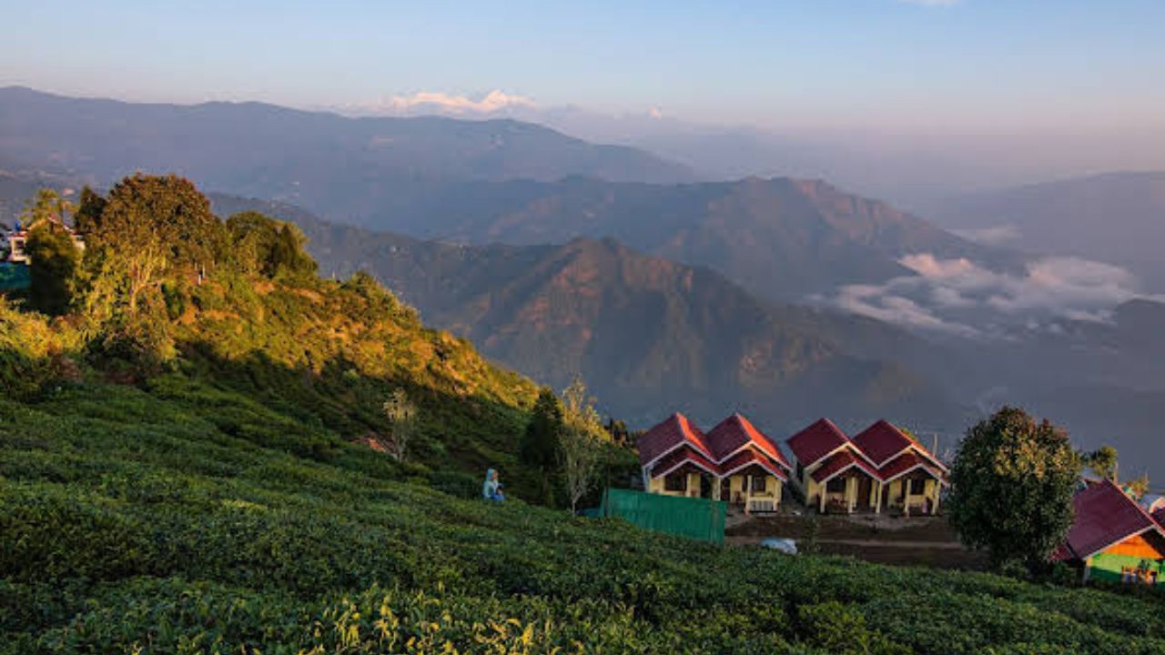 Ahaldara-Darjeeling: চা বাগান আর কাঞ্চনজঙ্ঘা, একসঙ্গে দেখা মিলবে ...