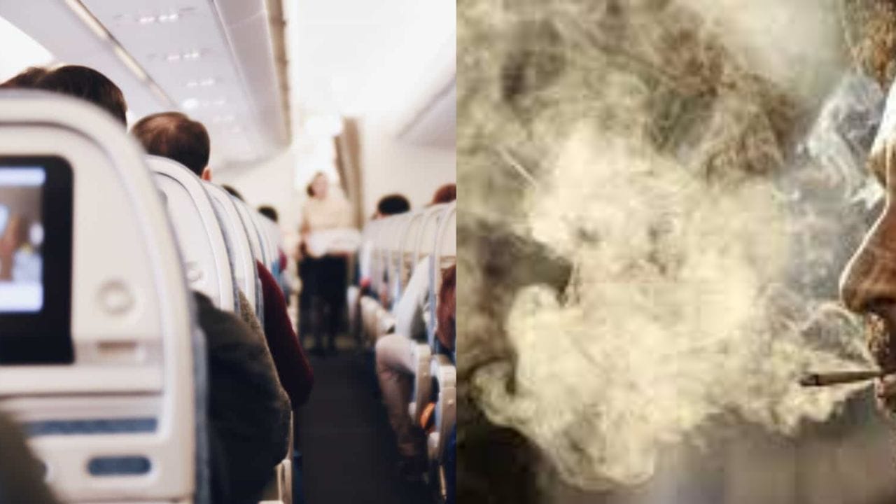 Passenger Smoking in Flight: বিমানের বাথরুমে বসে সুখটান বিড়িতে! পুলিশ ...