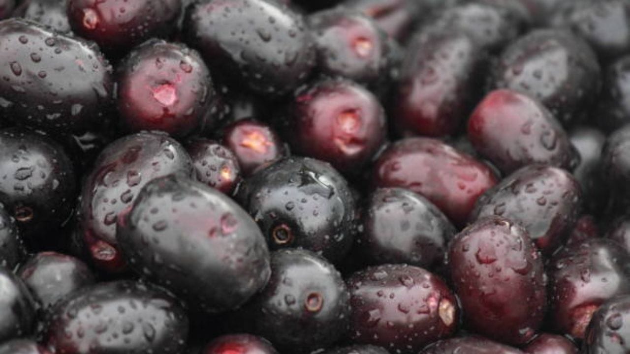 Jamun Benefits: আকাশছোঁয়া দাম হলেও জামই ডায়াবেটিসের যম, এই ফল খেলেই ...