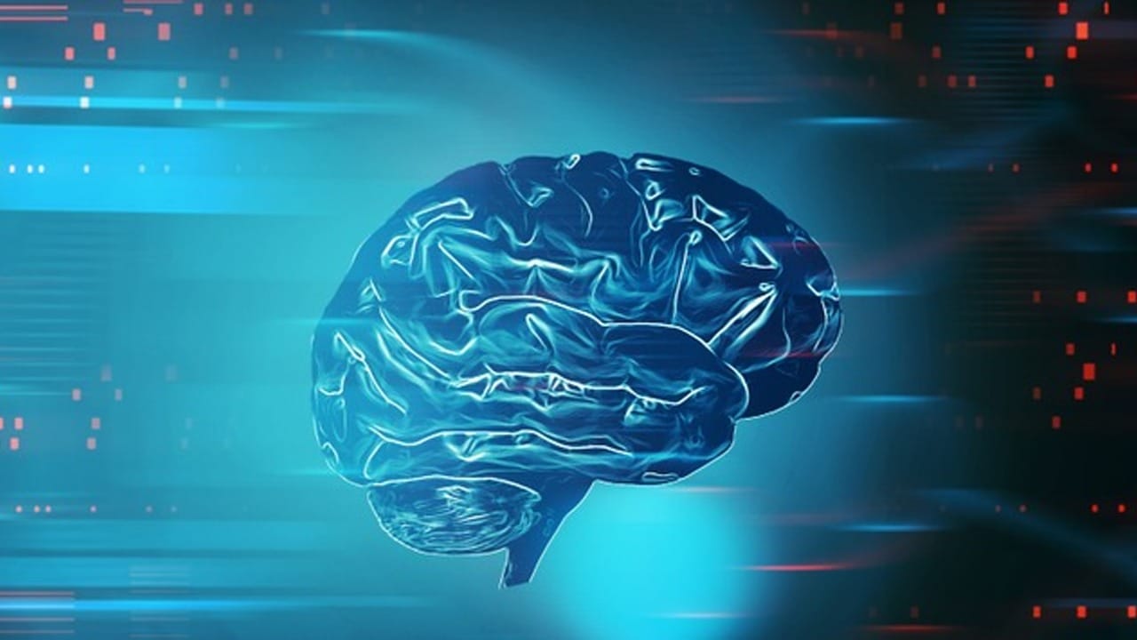 Size Human Brain: ছোট হচ্ছে ব্রেন, কীভাবে রুখবেন? - Bengali News | Size ...