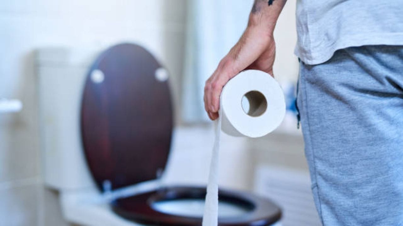 Piles and Constipation: এই সব খাবার অন্ত্র থেকে কিছুতেই বেরোতে চায় না ...