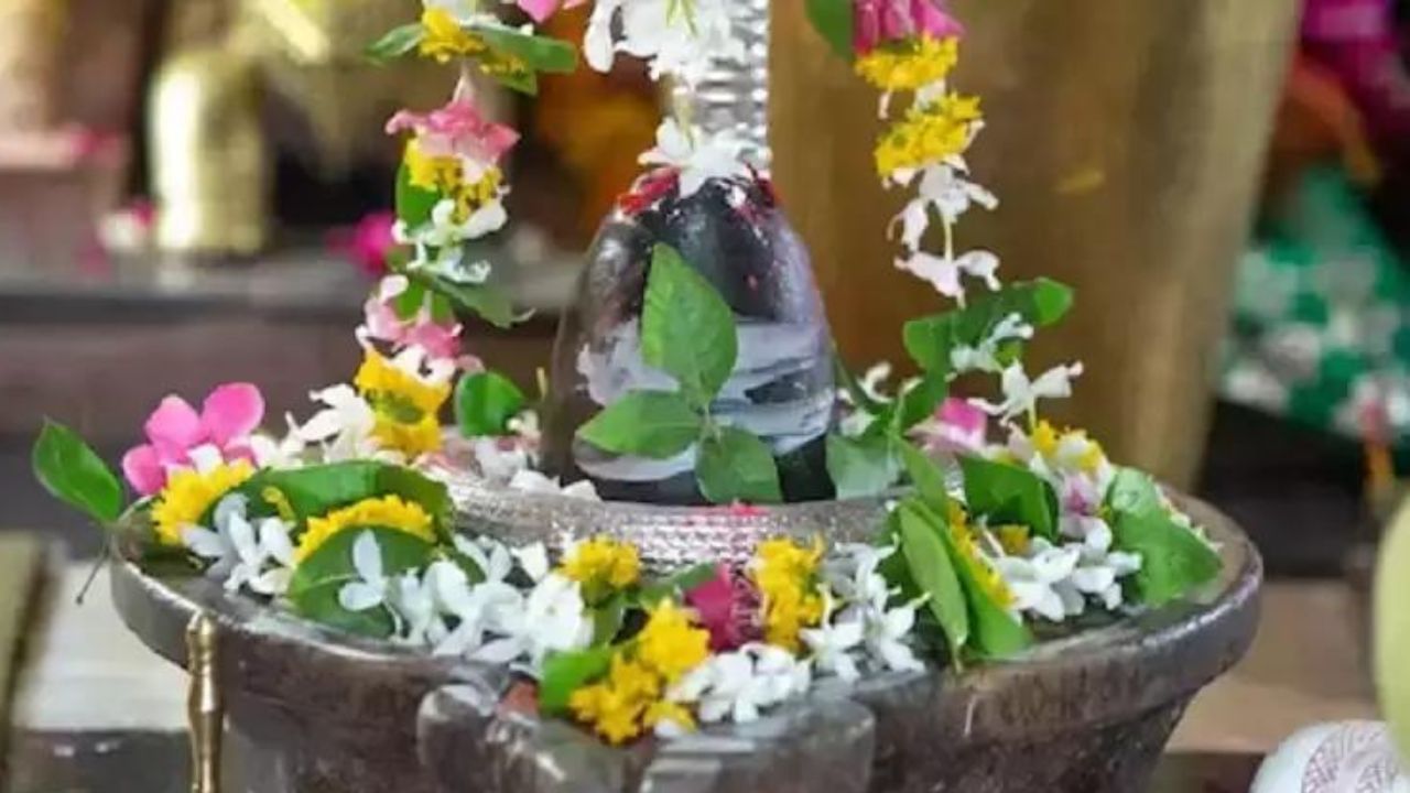 Rudrabhishek: শুধু শ্রাবণ মাসে নয়, ভুলেও ভোলেবাবাকে এই ৫ জিনিস নিবেদন ...