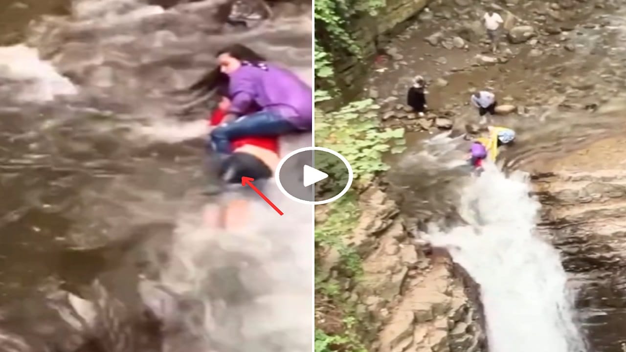 Viral Video: ছোট্ট ভাইকে বাঁচাতে জলপ্রপাতের এক্কেবারে ঢালে, দিদির ...