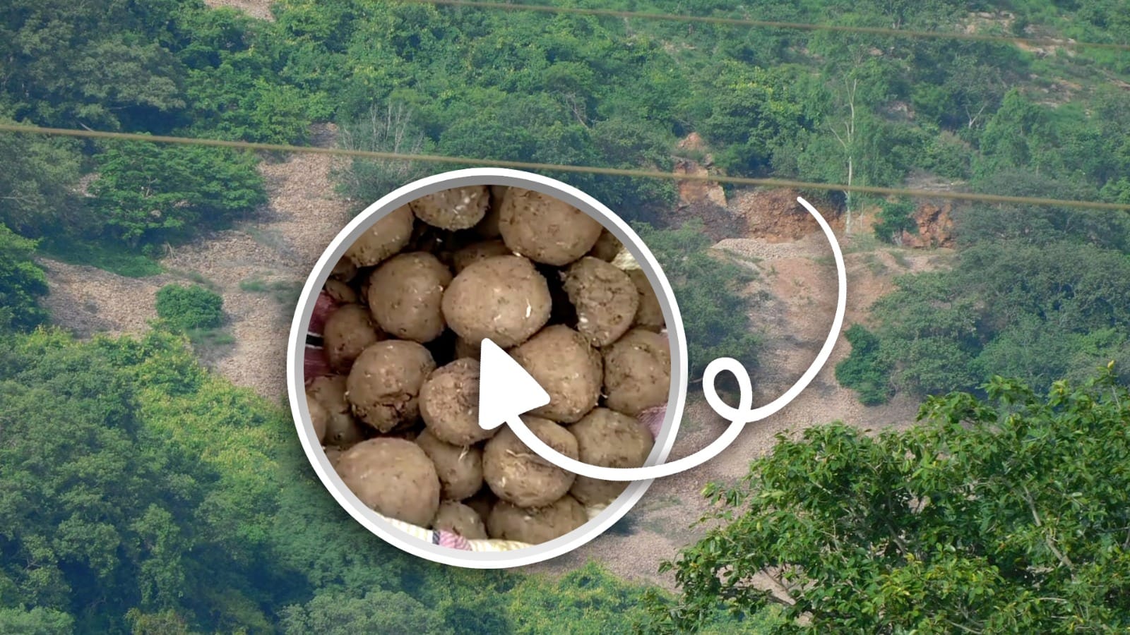 Seed Bomb: শুশুনিয়া পাহাড়ে সিড বম্ব! - Bengali News | Seed bomb used ...