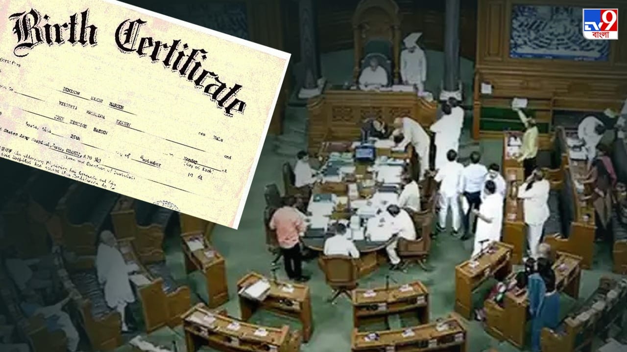 Birth Certificate: স্কুলে ভর্তি থেকে বিয়ের রেজিস্ট্রি- বার্থ ...