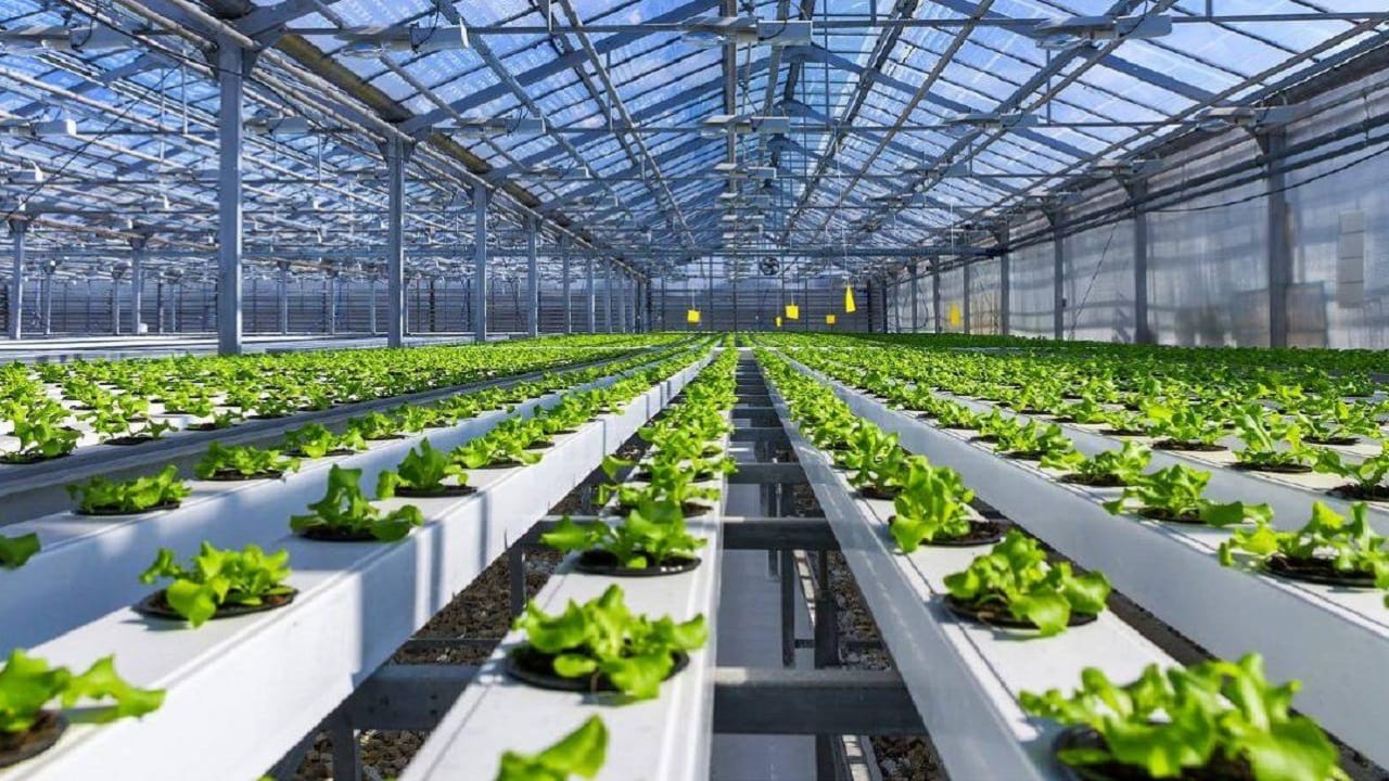 Modern Plants Farming: সুইচ টিপেই সম্পন্ন হবে বীজ থেকে চারাগাছ তৈরির ...